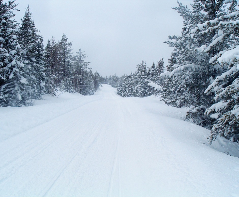 Dossier motoneige : on craint l’impact sur l’Estran - Bleu FM - Sainte ...